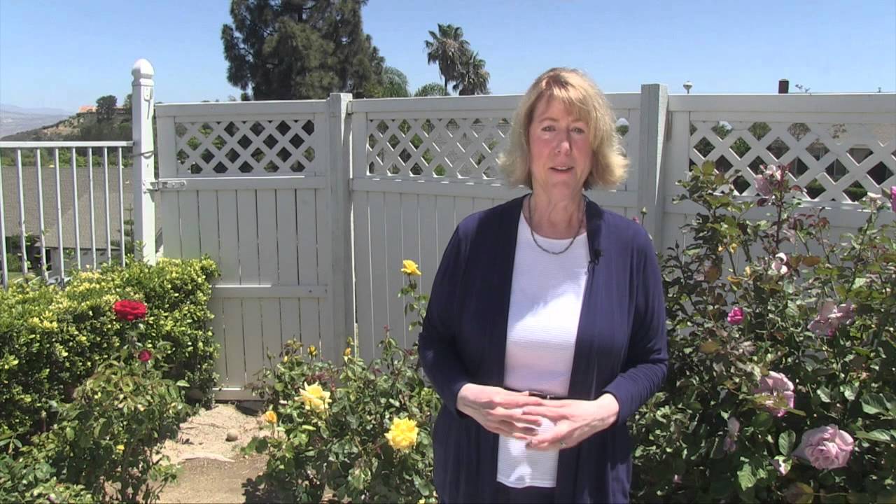 Patt Sendejas - Introduction to Feng Shui - YouTube