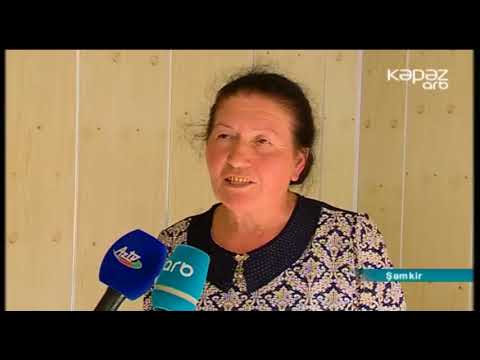 Şəmkirin Yeni Göyçə kəndinə ilk dəfə təbii qaz verilib - ARB Kəpəz