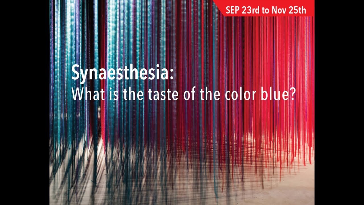 Synaesthesia: What is the taste of the color blue? - YouTube