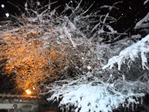 Kitap Evi Müzikleri | Me Fonazoune