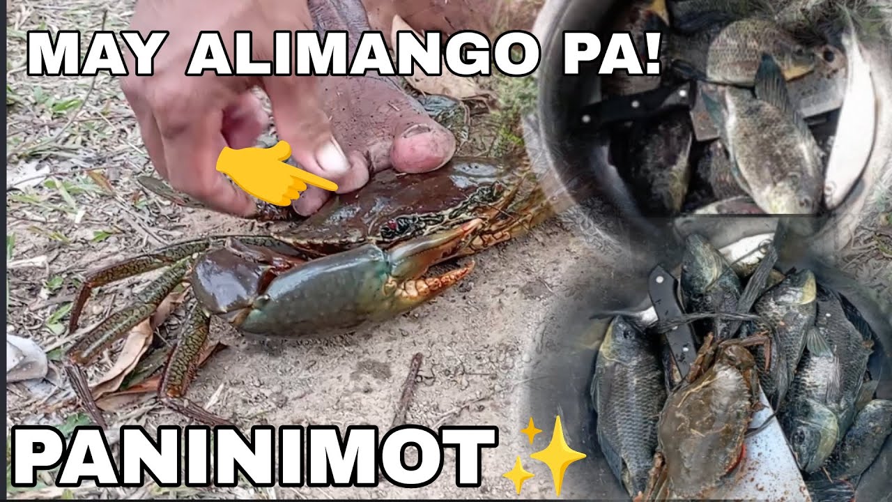 Panglalambat sa Fishpond | Dami parin kahit sinimot na! Part2 #fishing ...