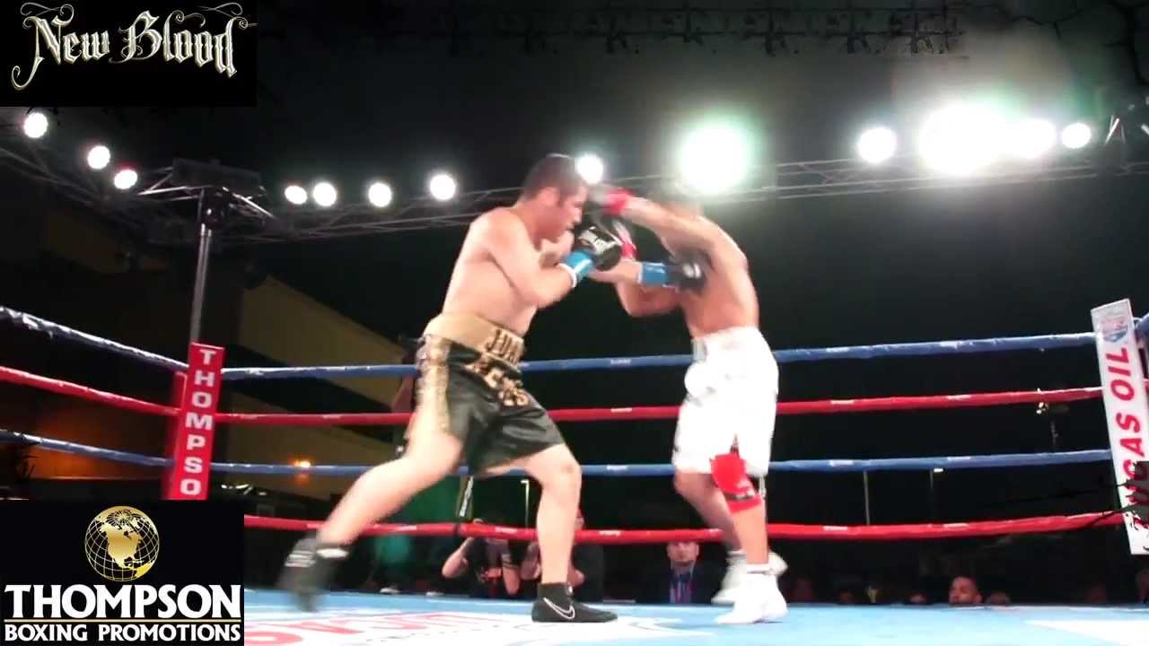 Thompson Boxing "New Blood" Aug 23, 2013 Highlights - YouTube