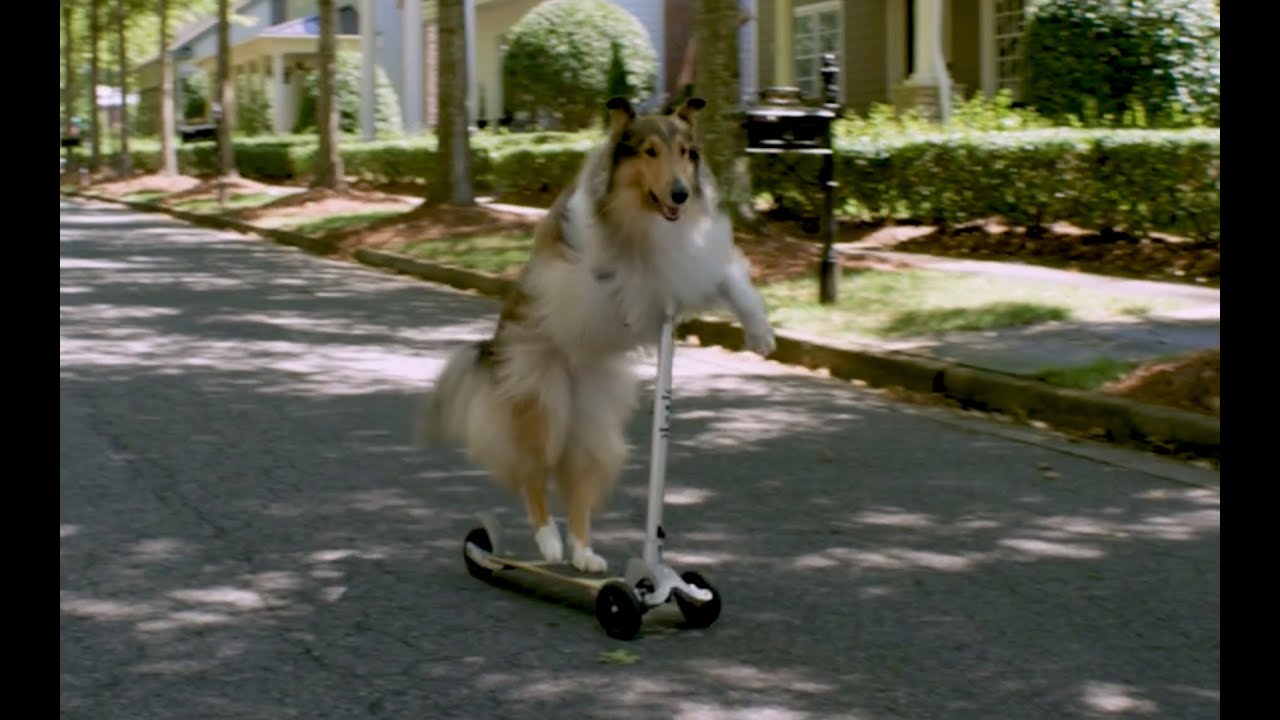 Five Date Rule - Trailer - YouTube