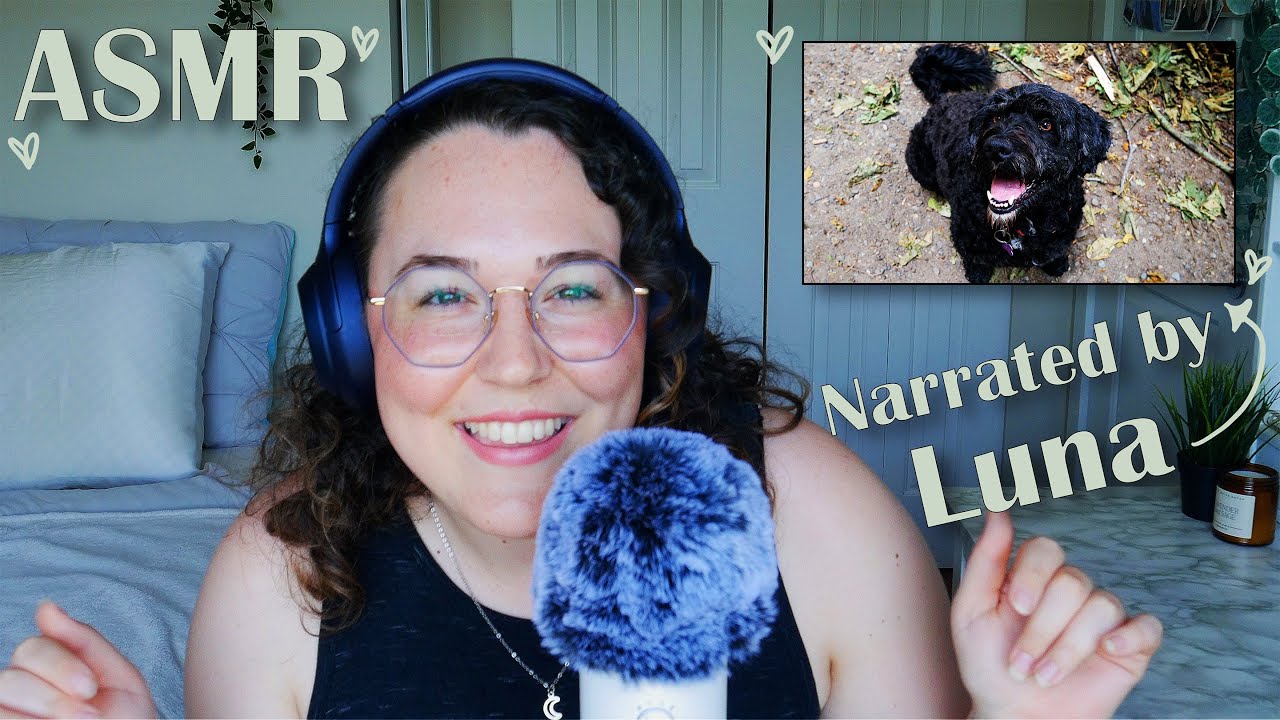 ASMR a day in the life of my dog 💕silly whispers & dog asmr - YouTube