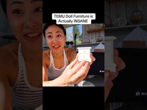 Surprised with This Doll Furniture😻