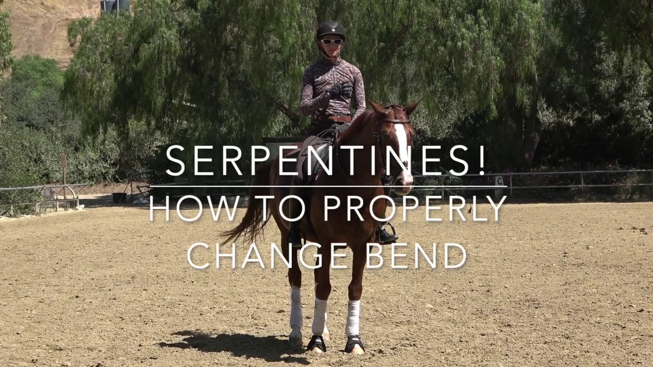 The Bending Aids: How to Correctly Ride Serpentines in Dressage! - YouTube