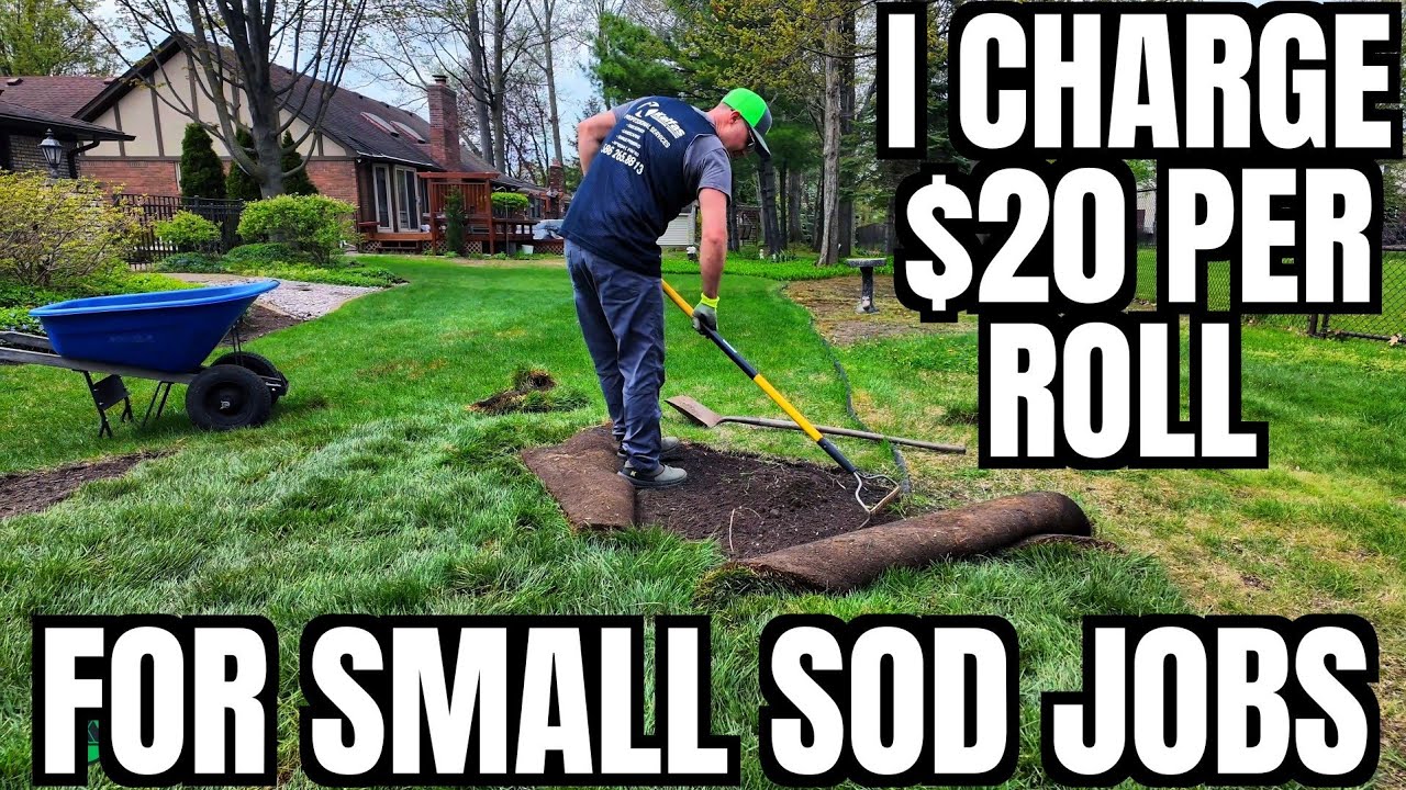 I Hate Doing Sod! But this Landscaping job was $4,130, so here's how we ...