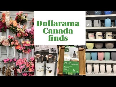 Dollarama Canada finds | makeup organizer | must have dollarama baking ...