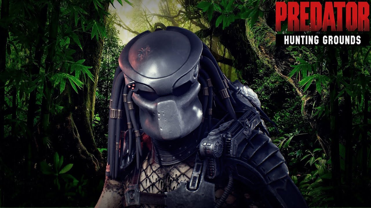 🔴Predator Hunting Grounds | Let's kill predators☠️ - YouTube
