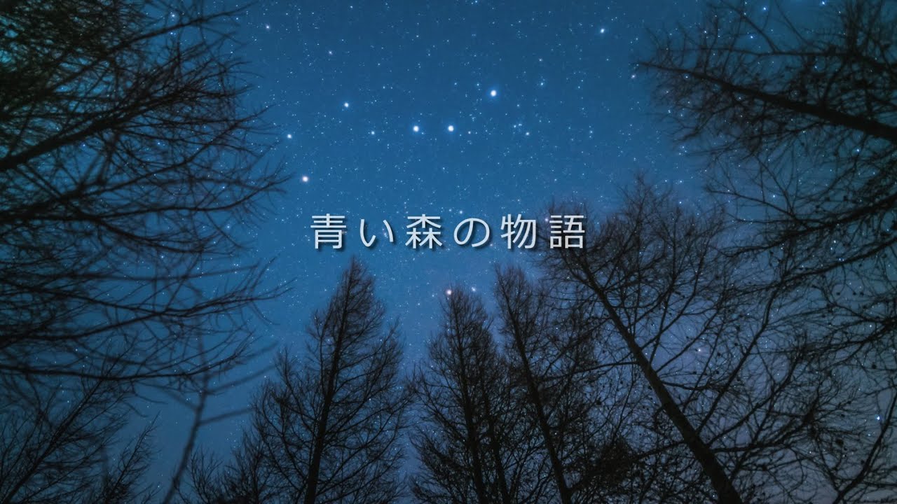 Time Lapse 4K #52 The story of the blue forest 「青い森の物語」 - YouTube