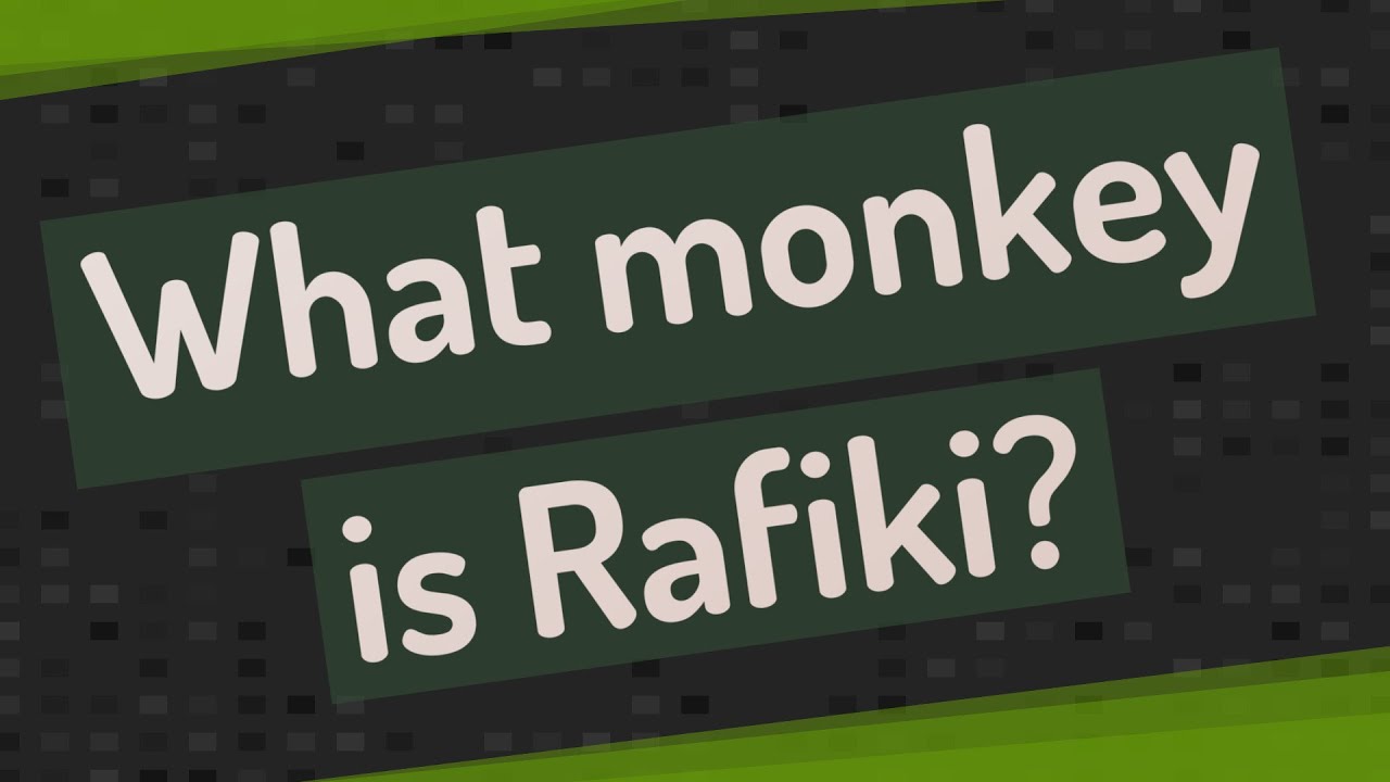 What monkey is Rafiki? - YouTube