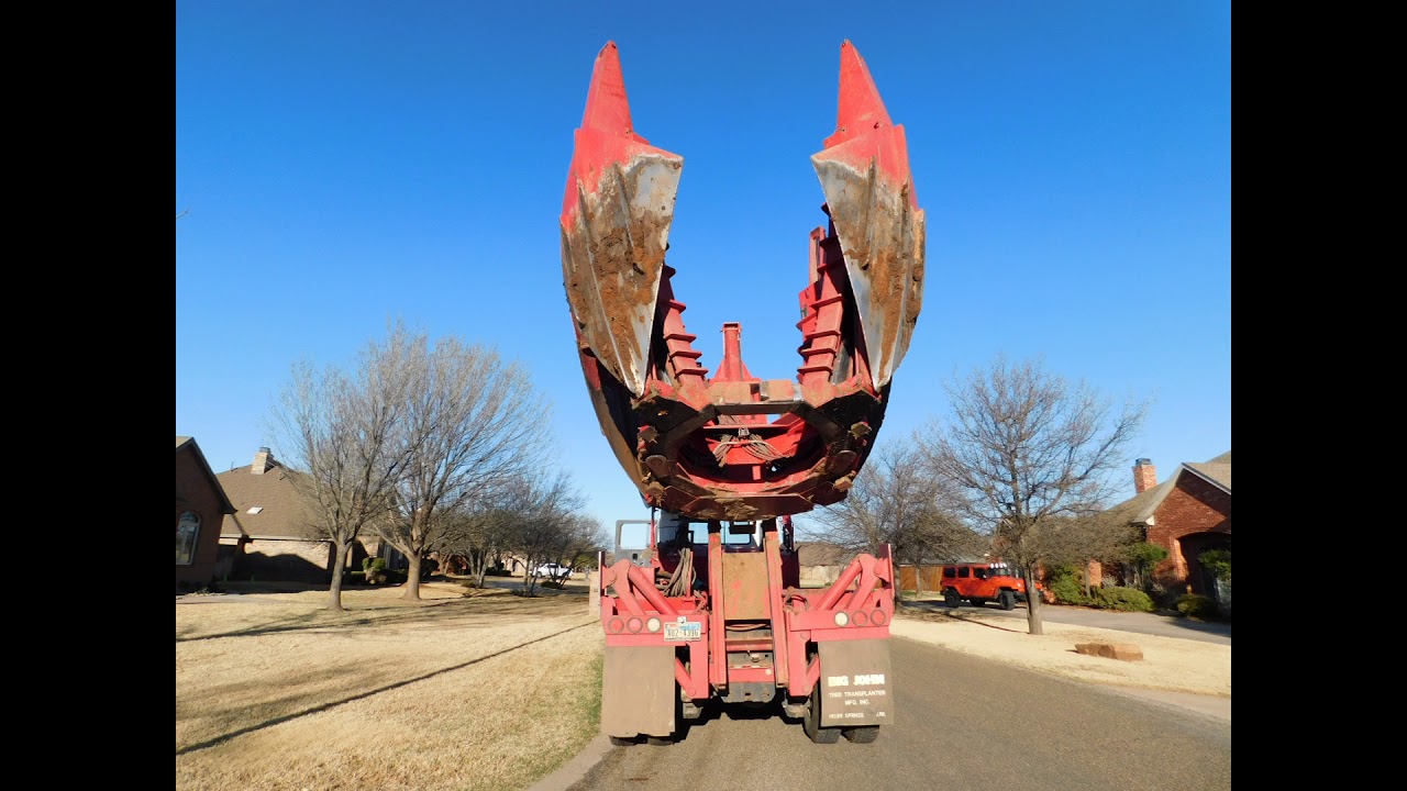 Tree Moving with Tom's Tree Place - YouTube
