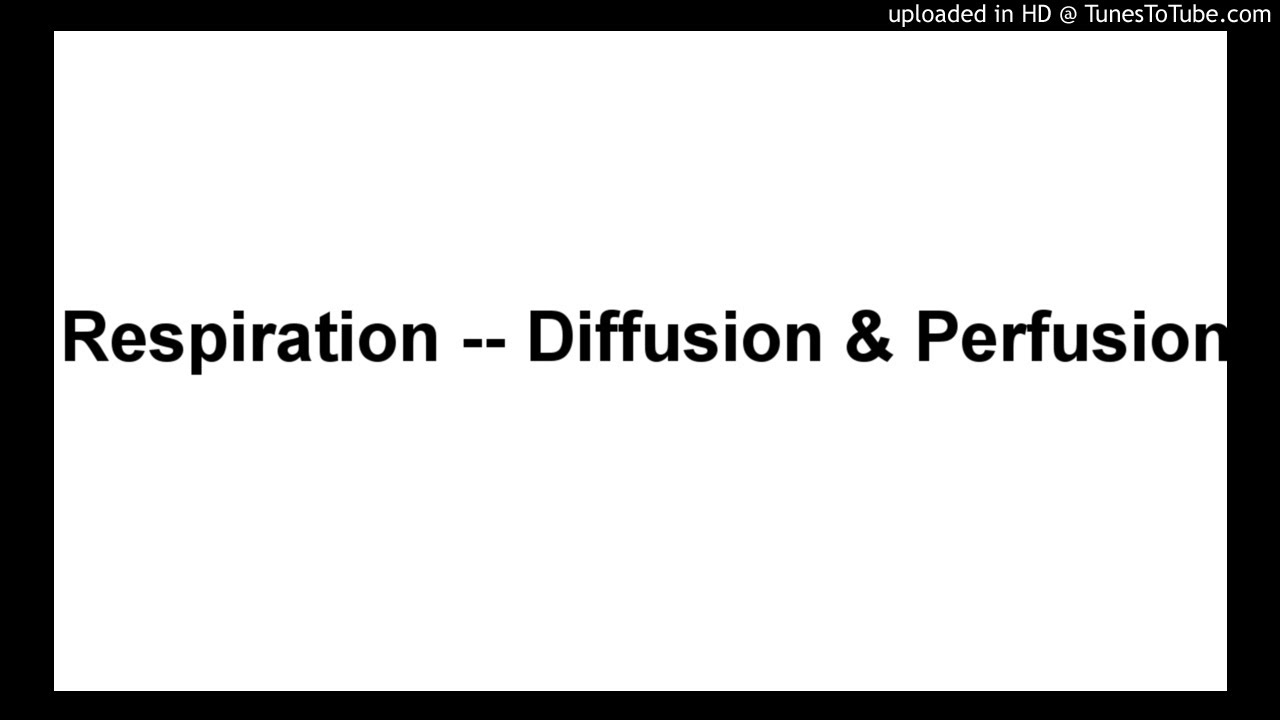 Respiration -- Diffusion & Perfusion l Respiration Physiology lKriya ...