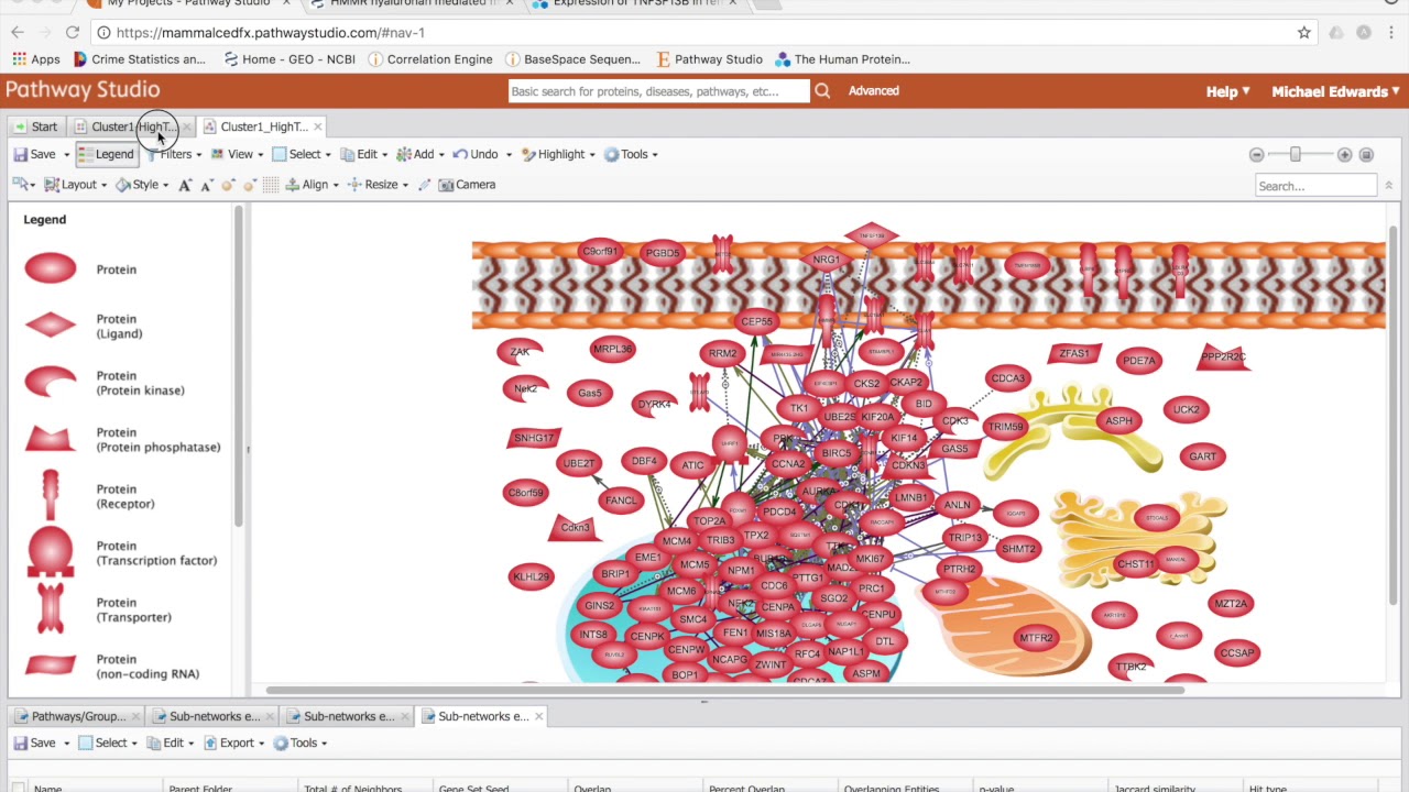 Rare Cancer Meta-Analysis, pt5.3: Using Pathway Studio to identify ...
