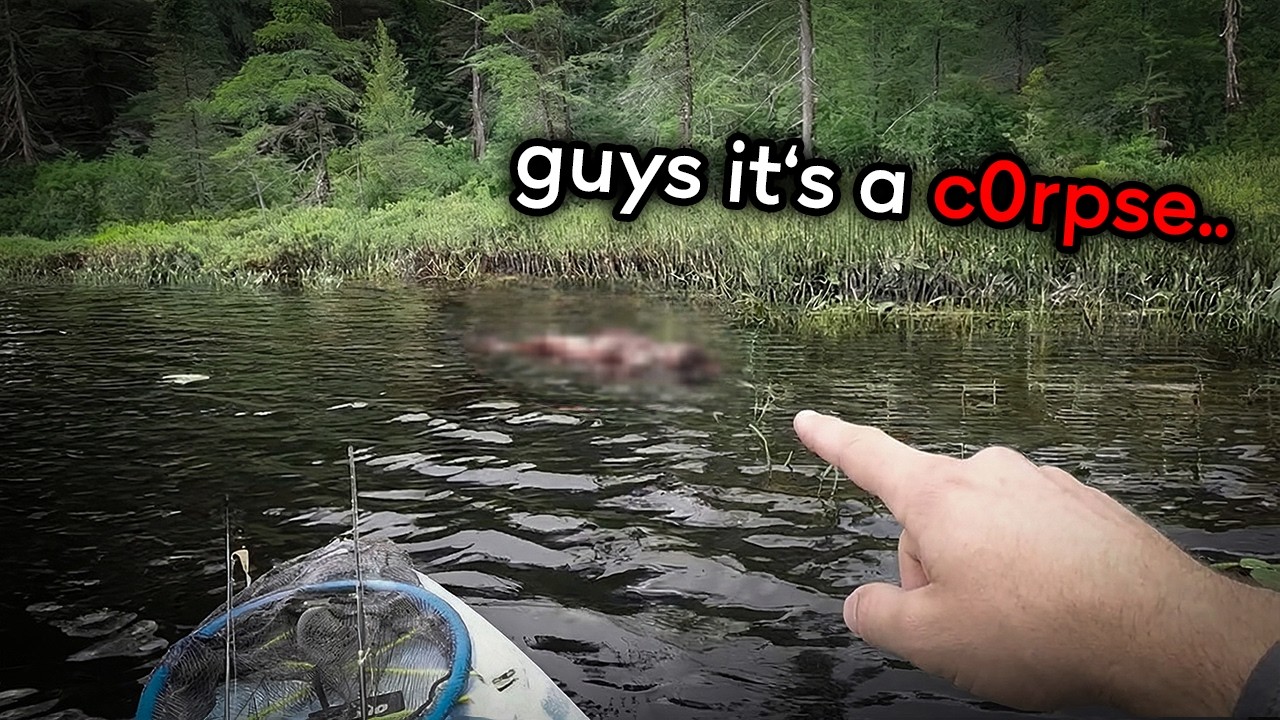 36 Shocking Fishing Encounters Caught On Camera - YouTube