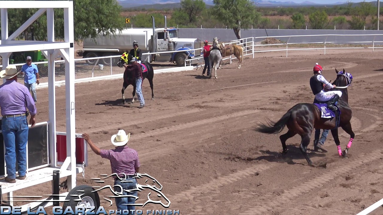 EL ZATANAS VS EL GUAPITO 300 VARAS SATEVO RACETRACK CHIHUAHUA 30 DE ...
