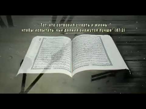 HACI SAHIN(1)