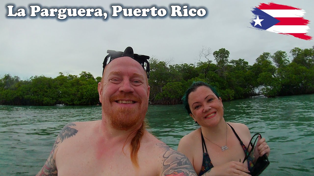 La Parguera Mangrove Forests and Bioluminescent Bay: Exploring Puerto ...