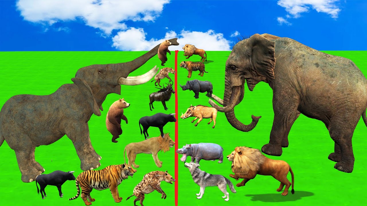 Prehistoric Mammals vs Modern Mammals Size Comparison Mammoth Vs ...