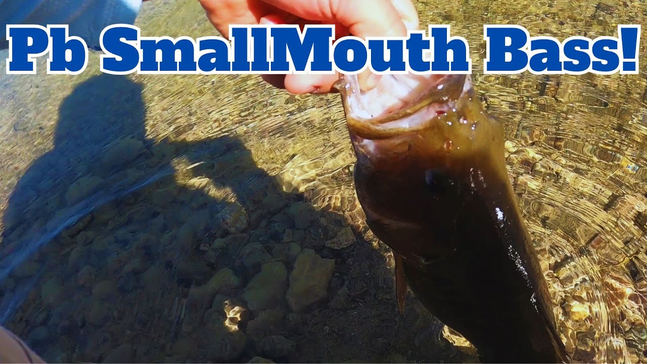 Kathrines Landing Bass Fishing ! Fishing With Victorious Fishing ...