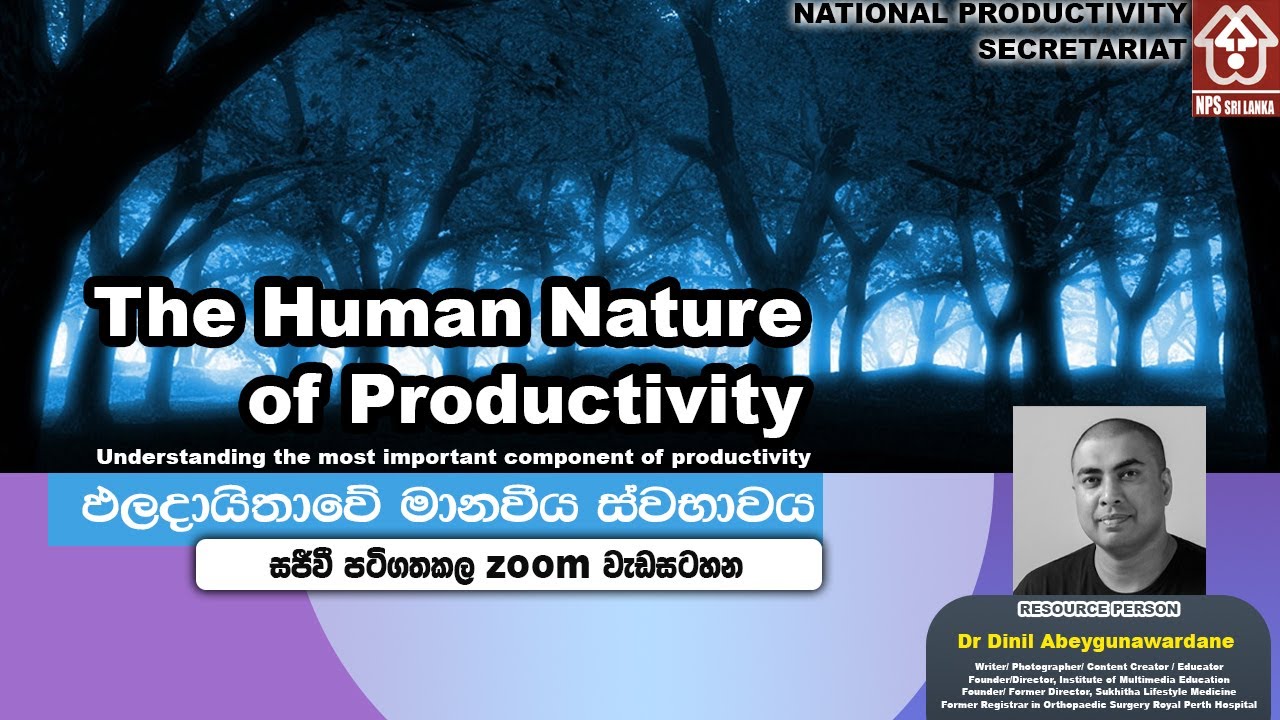 Webinar on The Human Nature of Productivity - YouTube