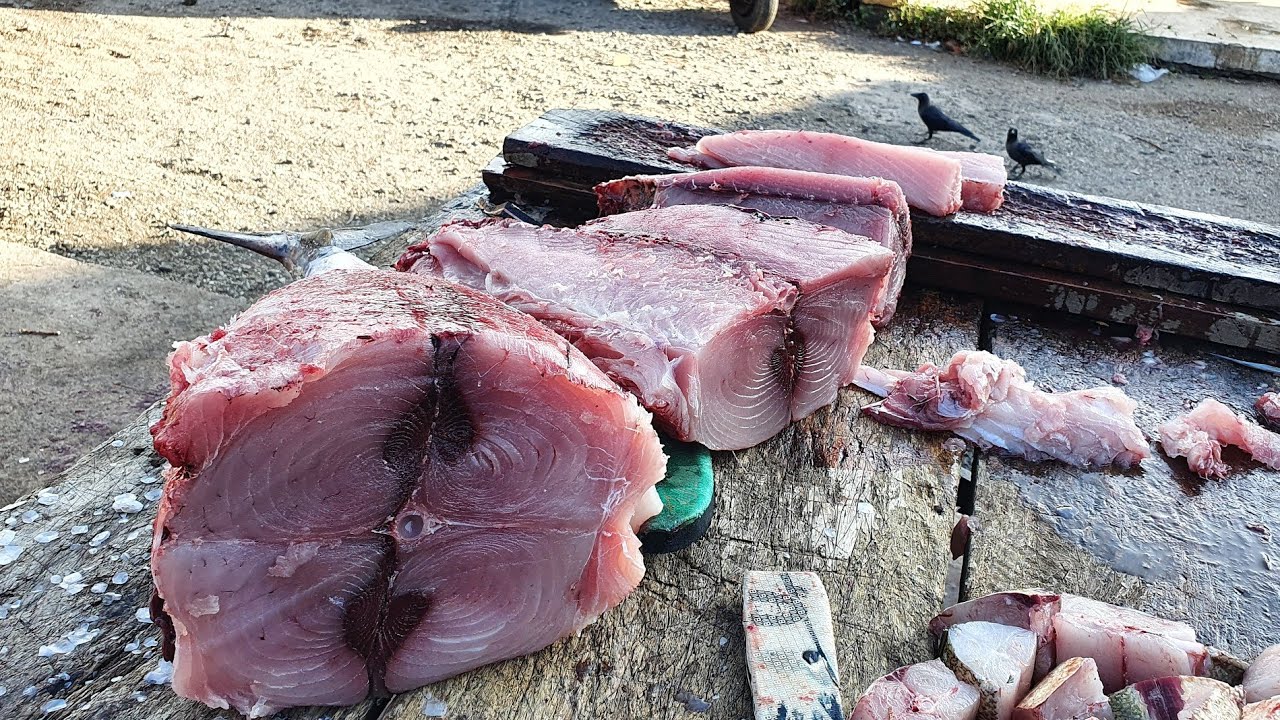 Huge Bluefin Tuna Chunk Cutting | Tuna Cutting Skills - YouTube