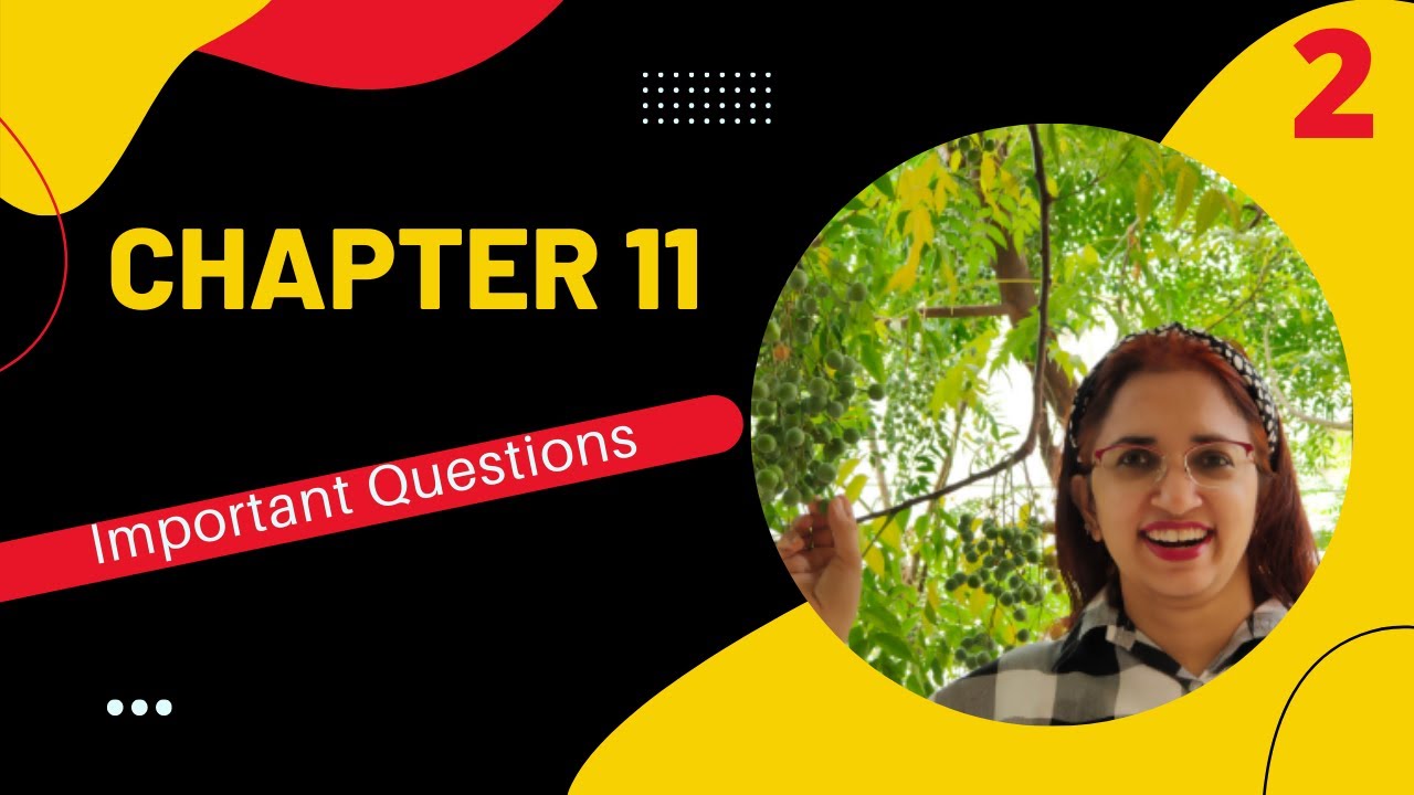 CBSE Term 2 Class 12 Biology Important Questions - YouTube