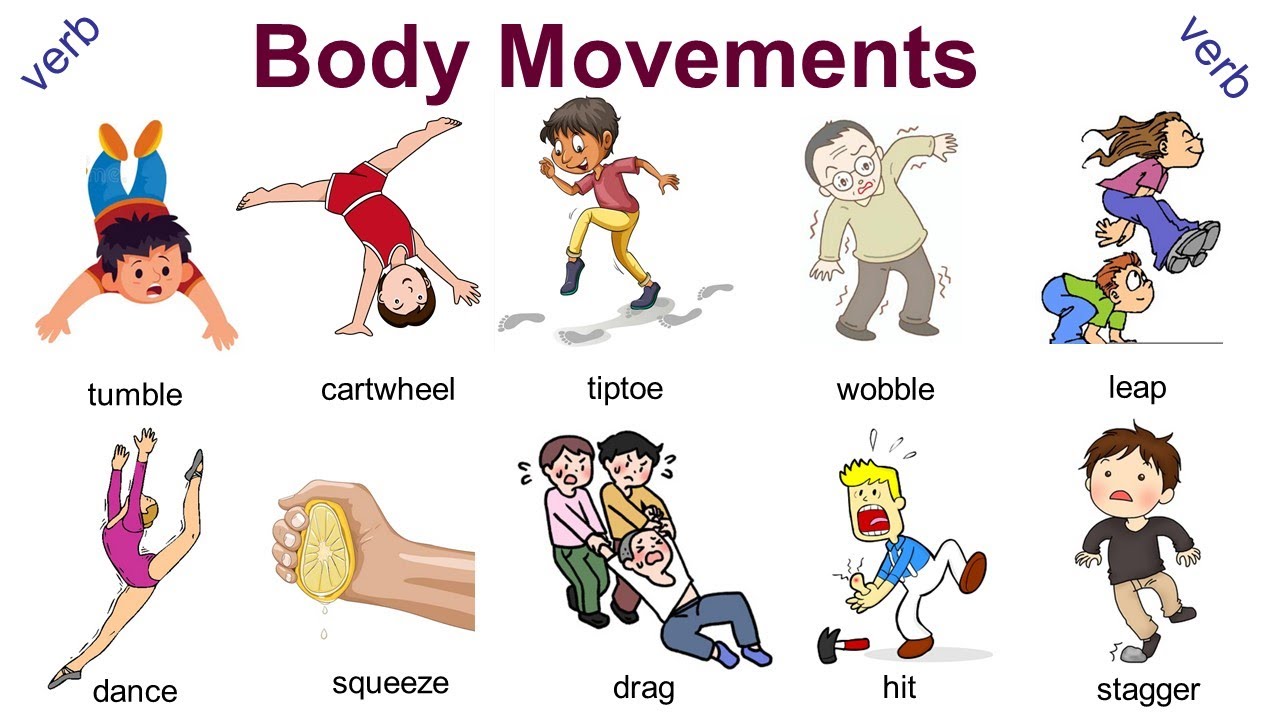 50 Body MOVEMENTS verbs in English for beginners | types of body ...
