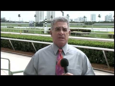Gulfstream Park: Ron Nicoletti's Analysis / July 21, 2013 - YouTube