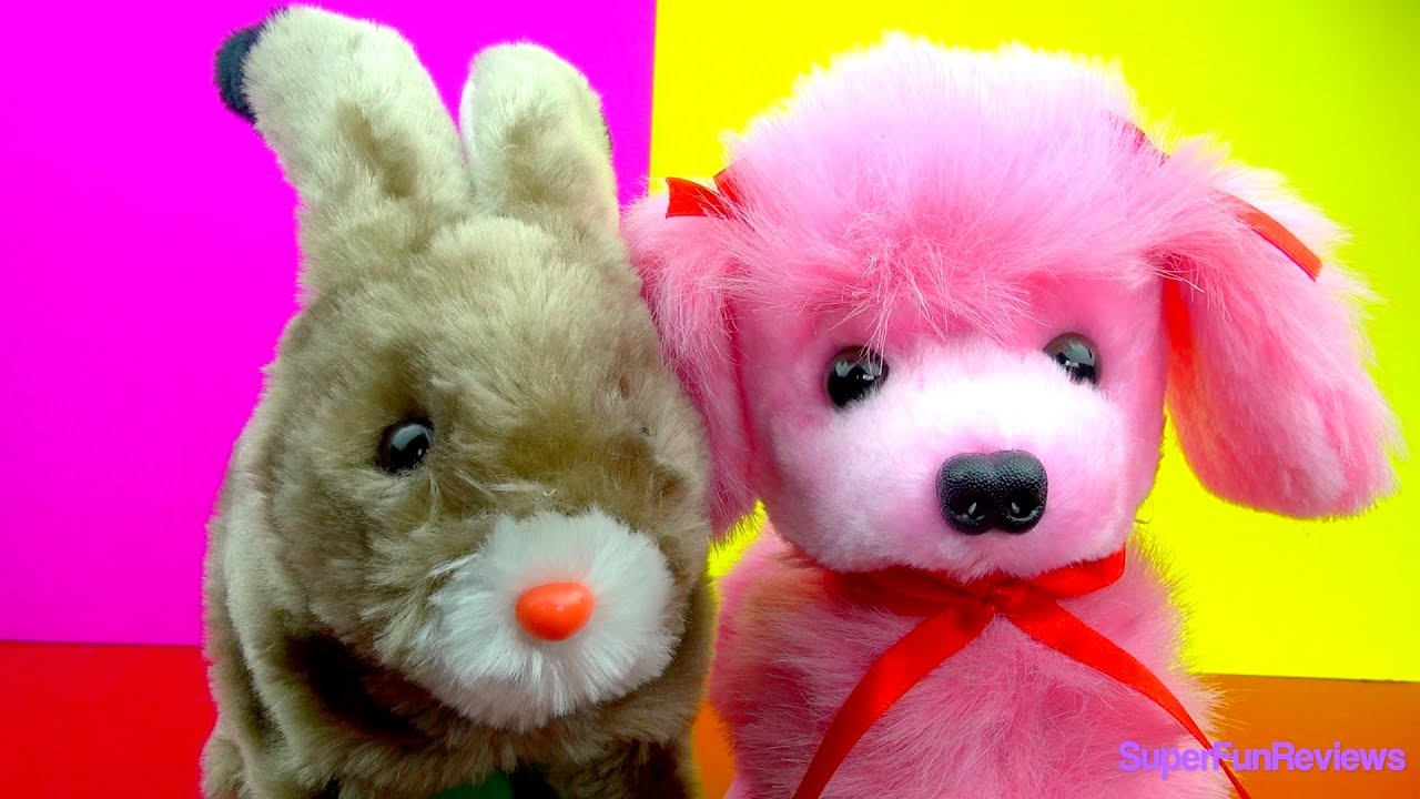Cute Happy Dog Fifi & Cute Happy Bunny Rabbit Thumper Lots of FUN - YouTube