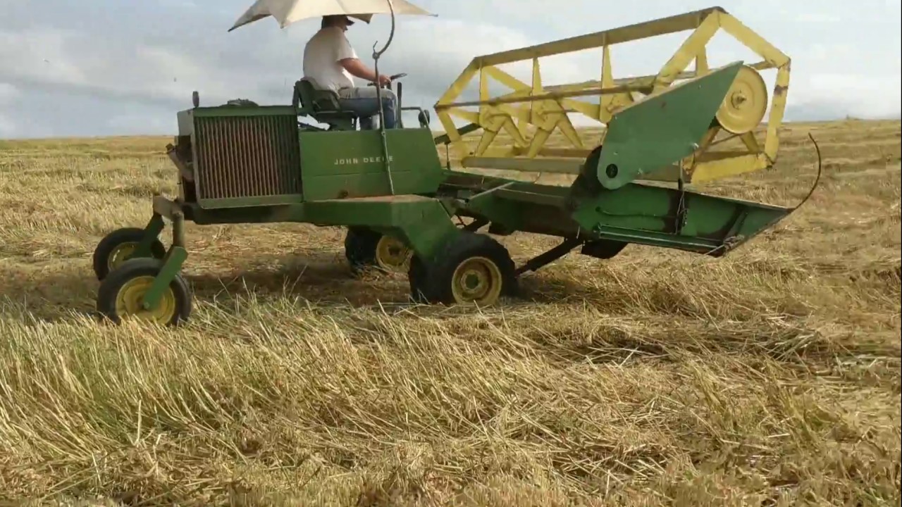 Windrowing oats with the old 800. - YouTube