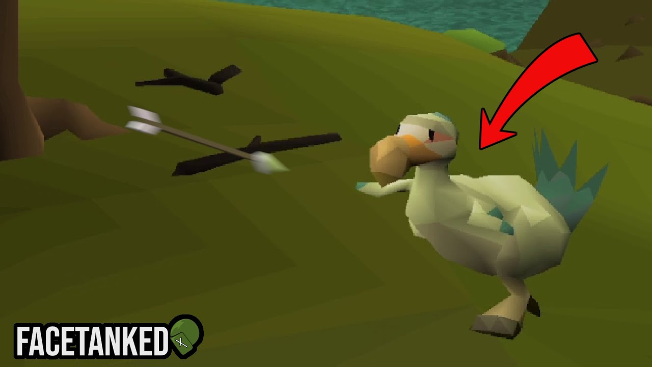 Do This for Your Chompy Bird KC - YouTube