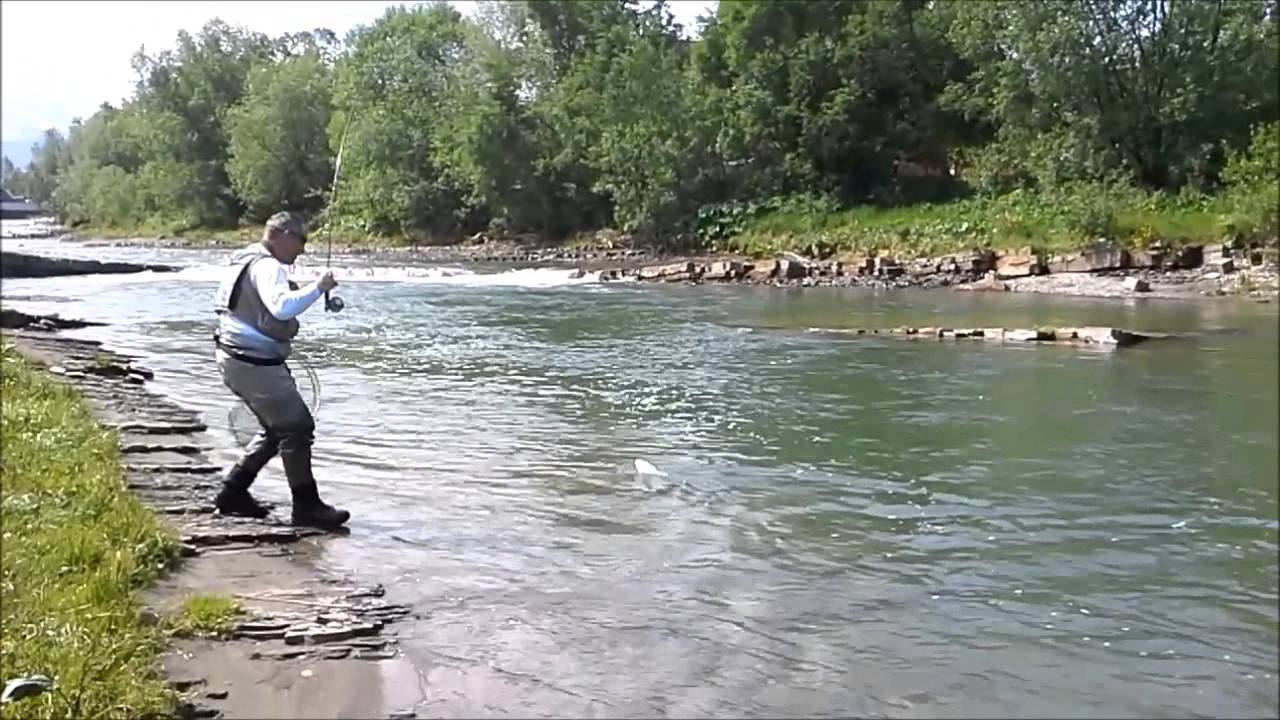 Dunajec Fly Fishing in Poland - YouTube