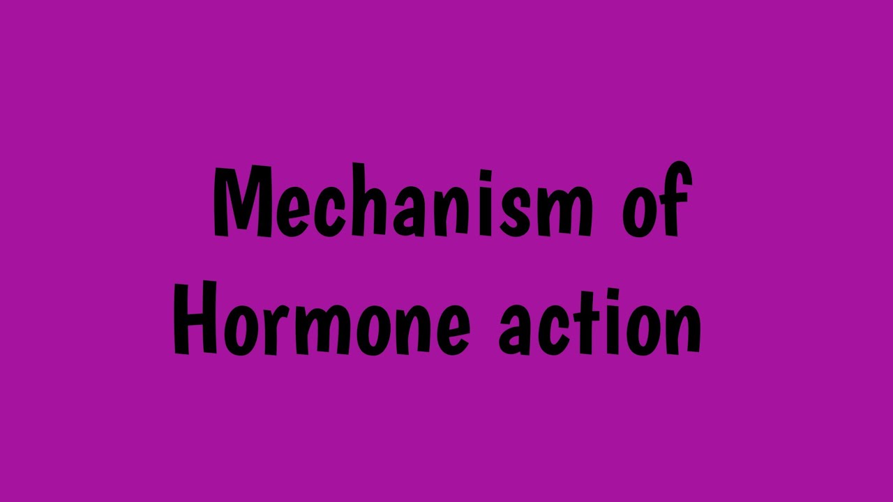 Mechanism of Hormone action|Difference between fixed and mobile ...