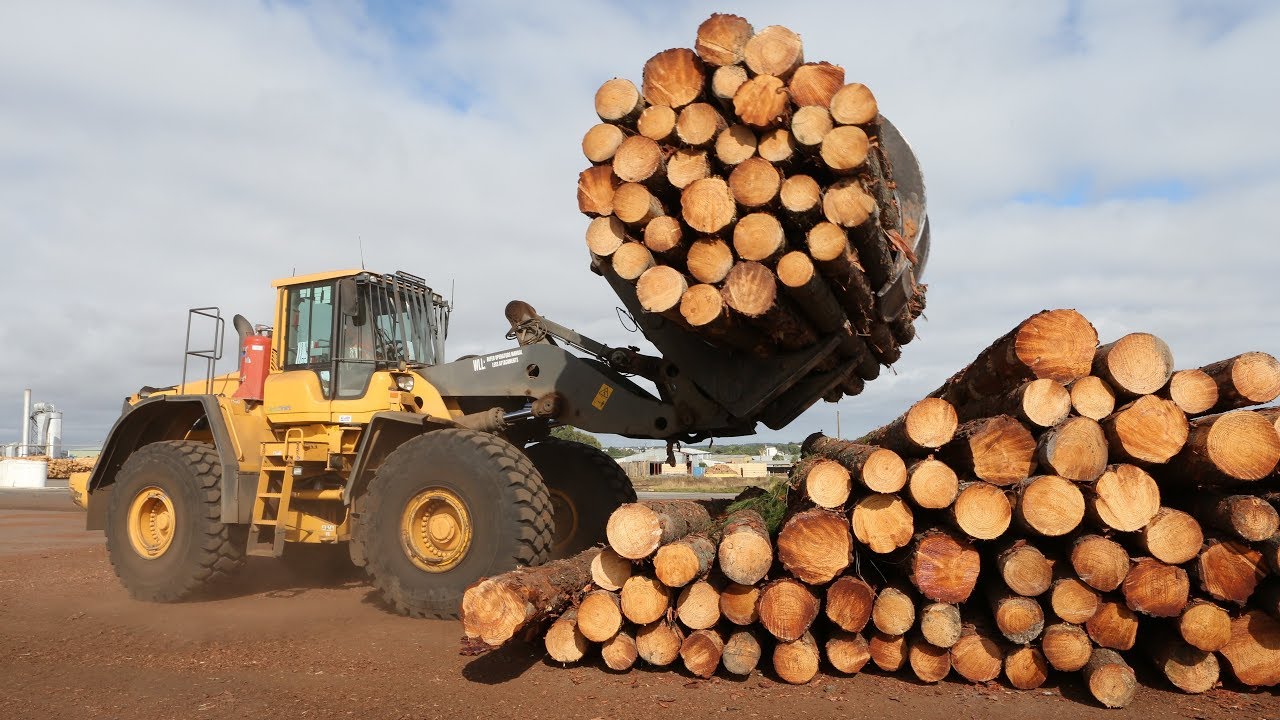 NHP Case Study: AKD Softwoods saw line Upgrade - YouTube