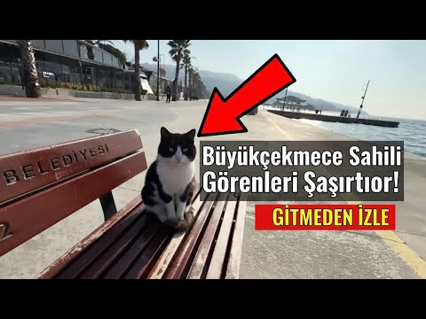Büyükçekmece Sahili Göreni Şaşırtıyor! Gitmeden İzle ⚠️ 
