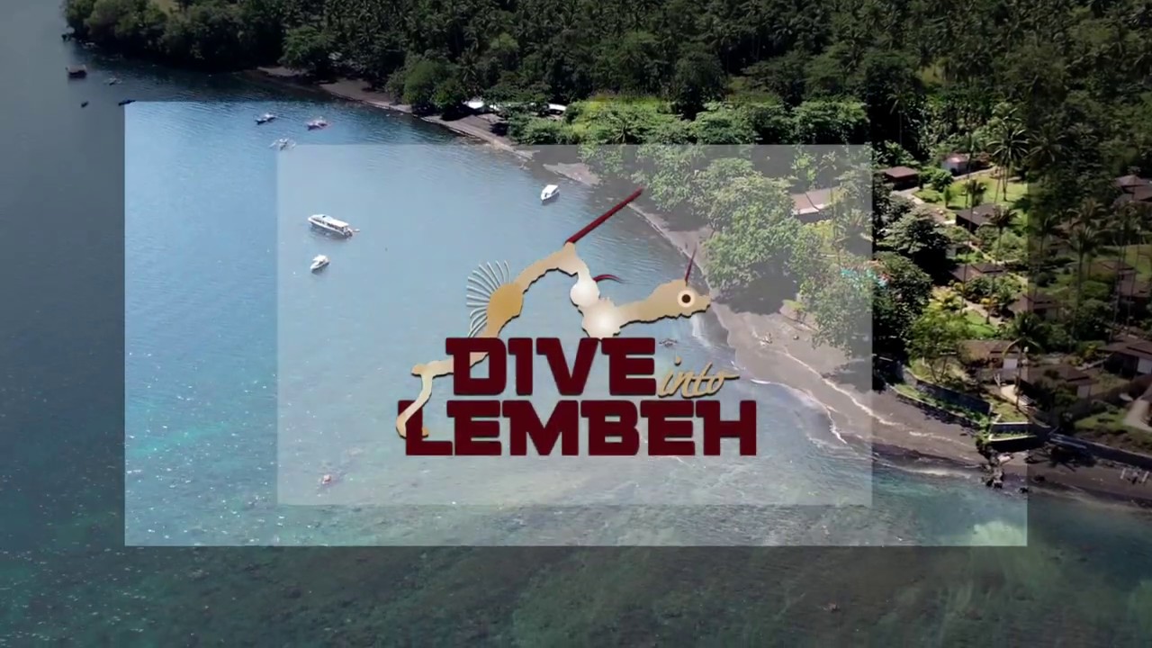 Dive into Lembeh | Dive the Lembeh Strait at the most experienced and ...