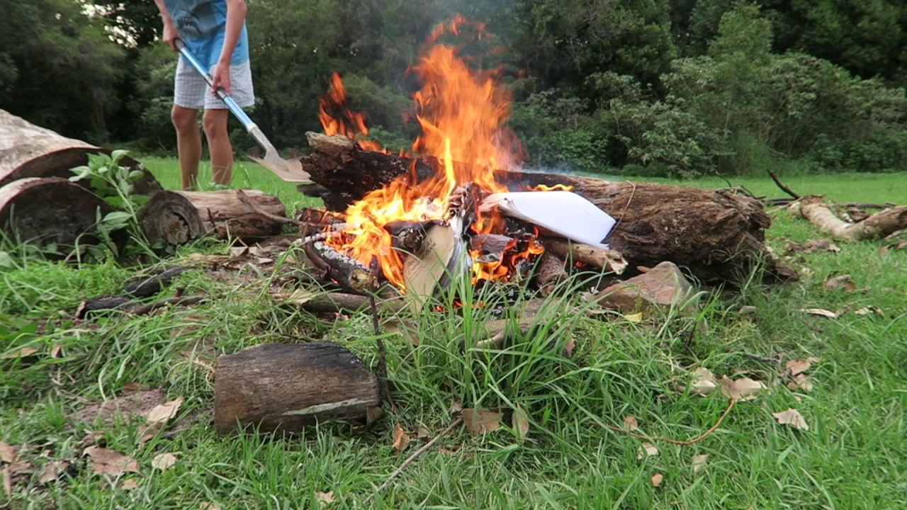 NASHUA | 2o16 Summer Farm Trip - YouTube