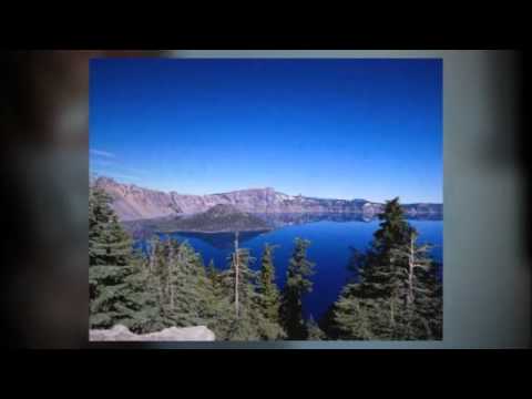 Windsor Chiropractor for Shoulder Pain - Dr. Sean Whittal - YouTube