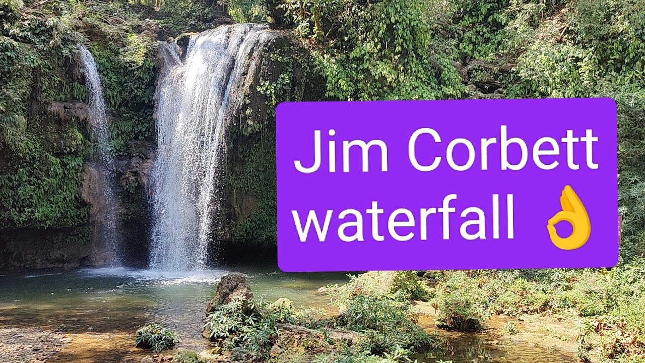 Corbett waterfall , Nanital , Uttrakhand | Jim Corbett waterfall ...