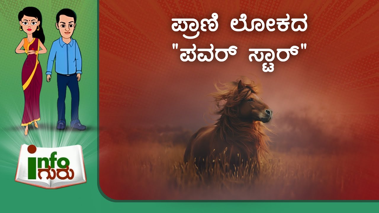 ಪ್ರಾಣಿ ಲೋಕದ "ಪವರ್ ಸ್ಟಾರ್" | InFo Guru - "Power Star" of the Animal ...