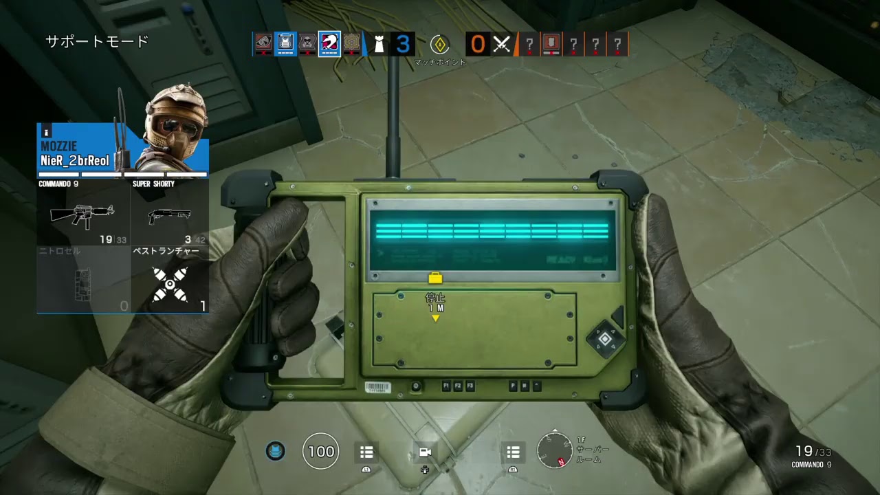 レインボーシックスシージのんびり配信Y4S1#1 - YouTube