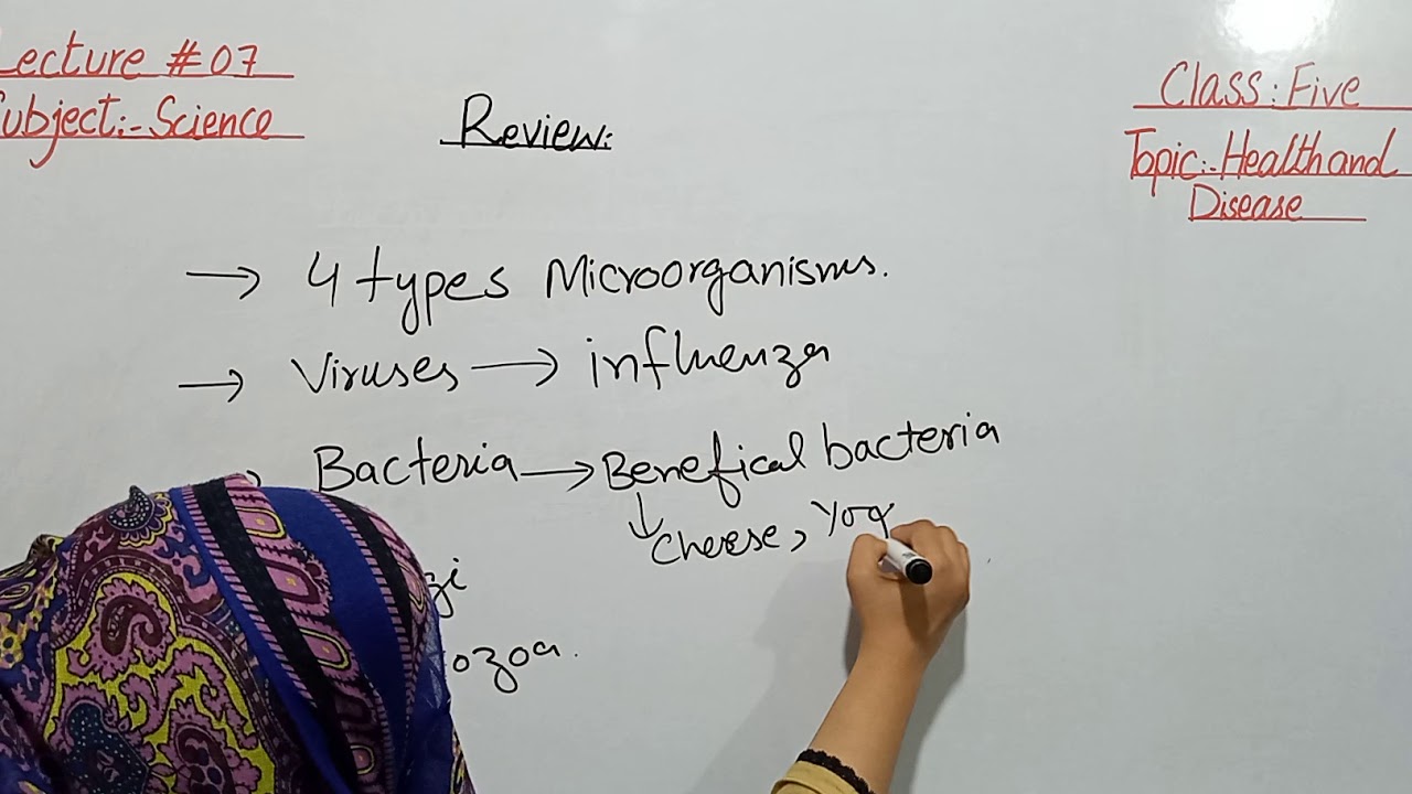 Class Five | Science | Lecture 7 - YouTube