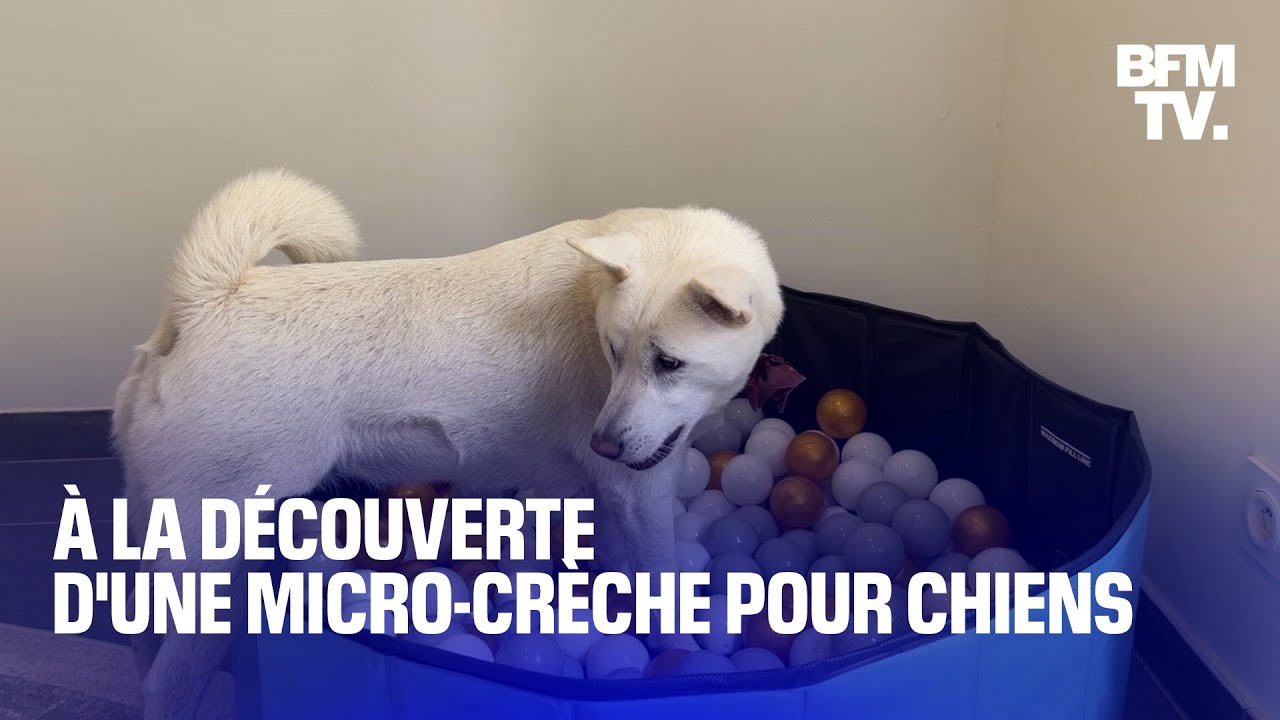 "Je l'ai conçue comme une crèche pour enfants": à la découverte d'une ...