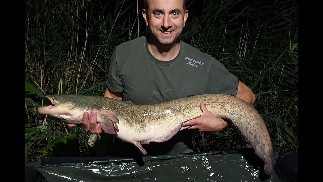 Autumn at Willowcroft Fisheries - Cafe Lake - YouTube