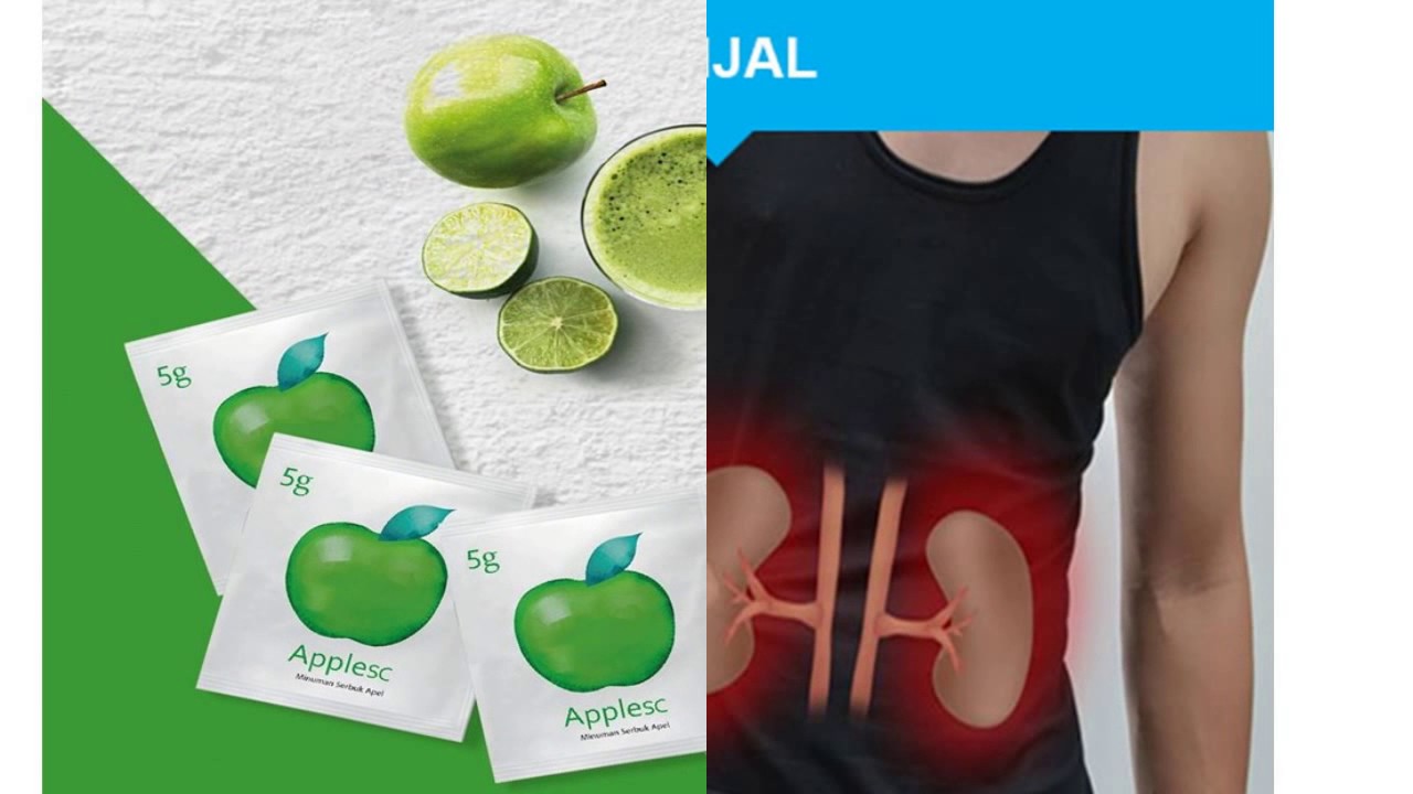 Ginjal, Obat Ginjal, Apple Stem Cell, Jual Obat Ginjal - YouTube