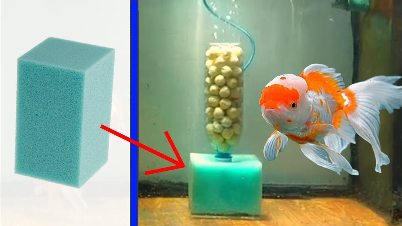 DIY sponge filter / ဖော့နဲ့ လုပ်ထားတဲ့ ငါးကန် ရေစစ် /DIY sponge filter ...