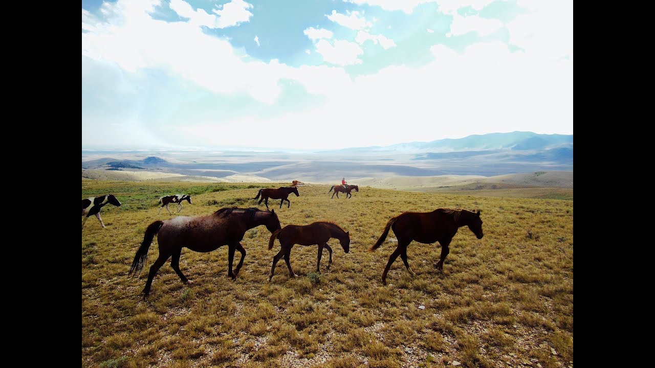 The Horse Drive at Silver Spur Ranch - YouTube