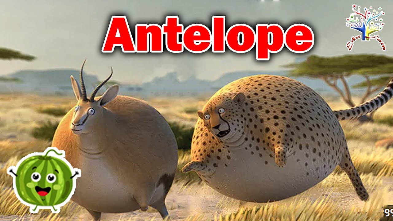 The Animal Sounds Song || Antelope || Kids Nursery Rhymes | Best ...