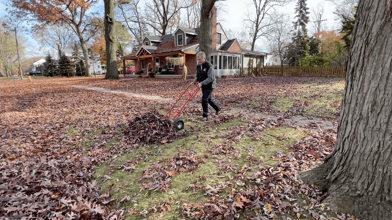 ClearPlow® Snow & Leaf Pushers - Easily Push LOTS Of Leaves! - YouTube
